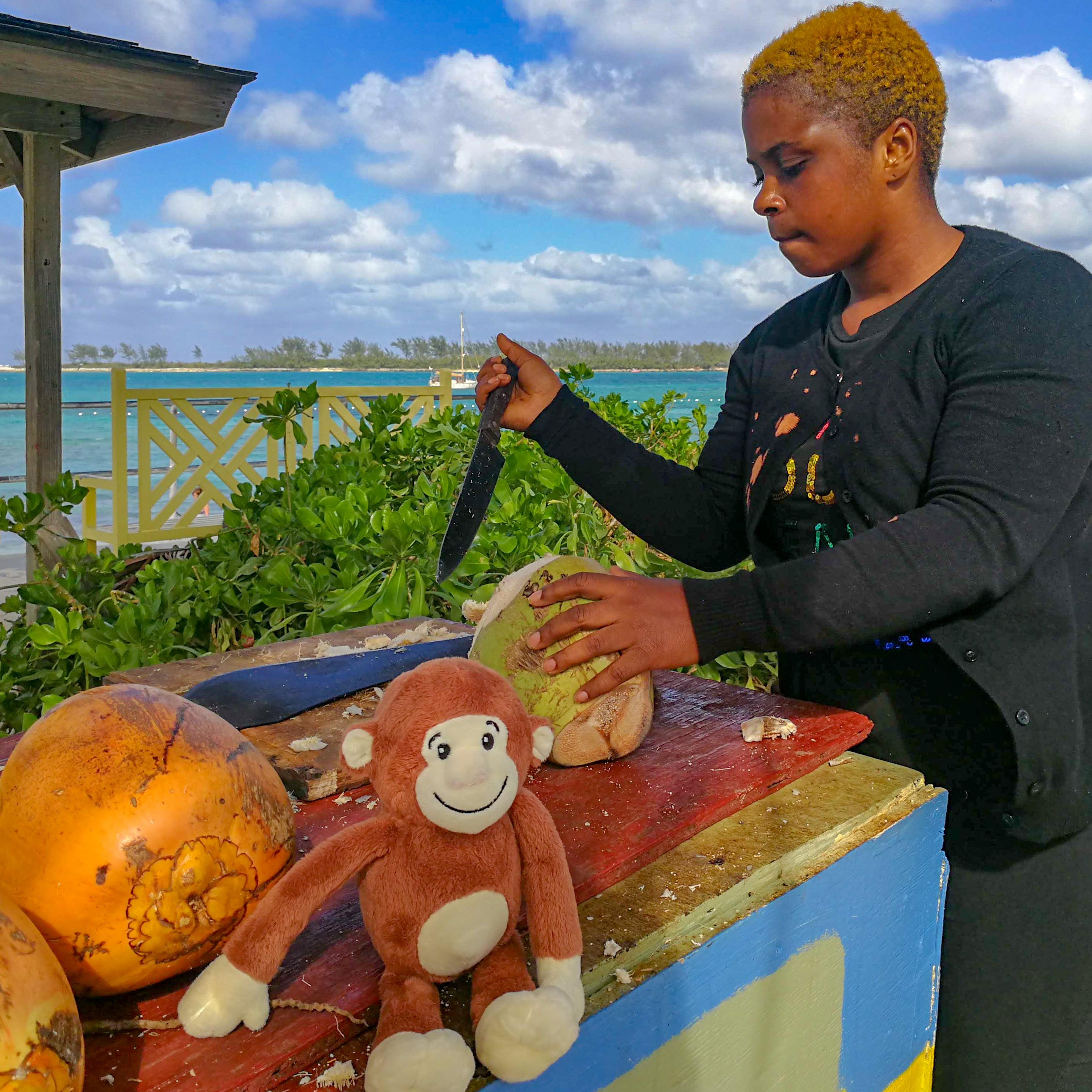 Yonkey Monkey Travel Soft Plush Toy – Yonkey Monkey Yarn Shop